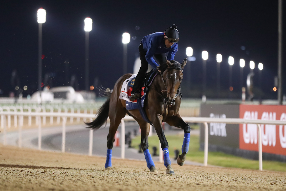 Michelle Yu: Dubai World Cup Day Best Bets - 1/ST BET NEWS