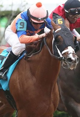 Belmont Stakes Picks & Wagering Guide by 1/ST BET