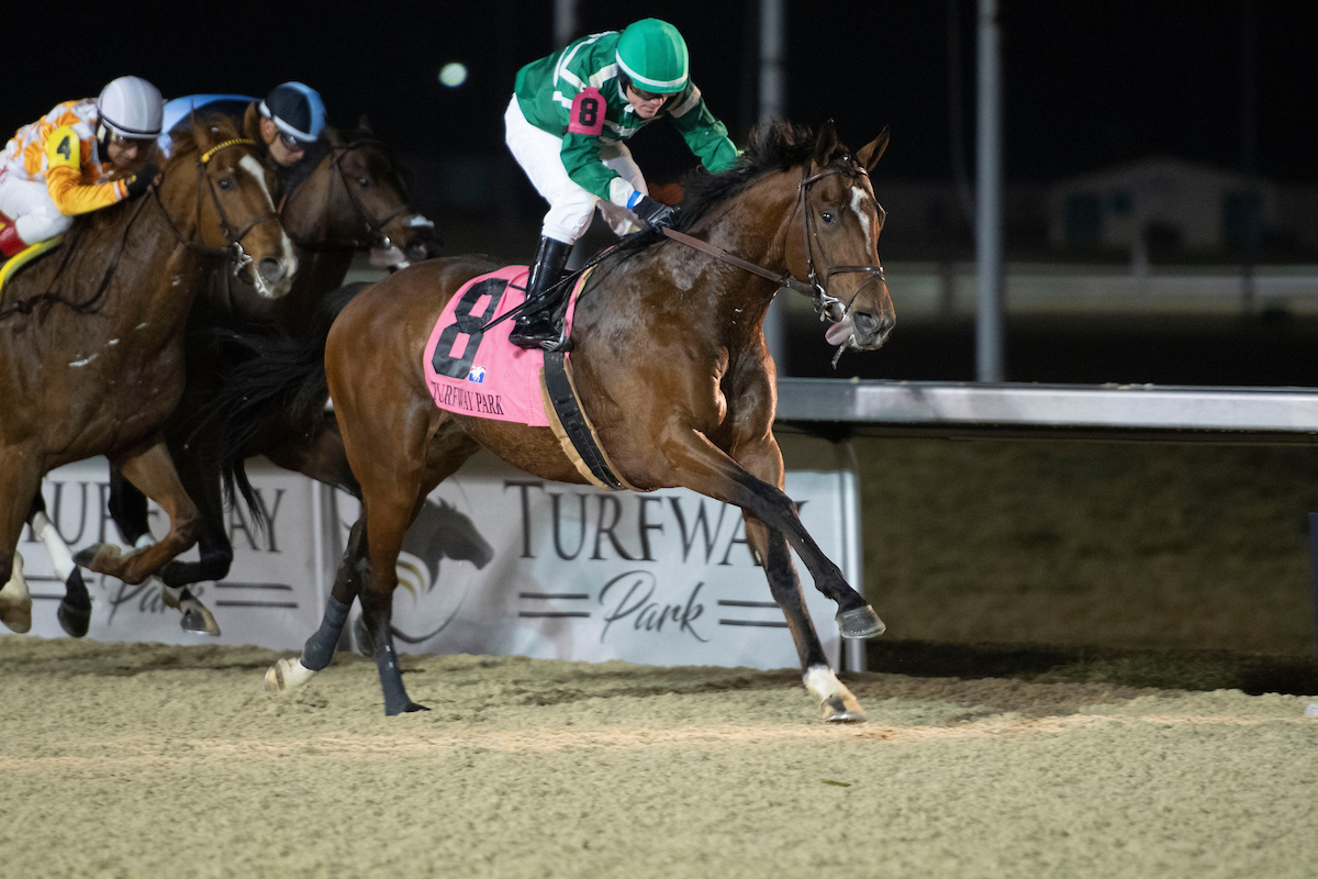 Race of the Week: Prairie Bayou Stakes at Turfway | Saturday, December ...