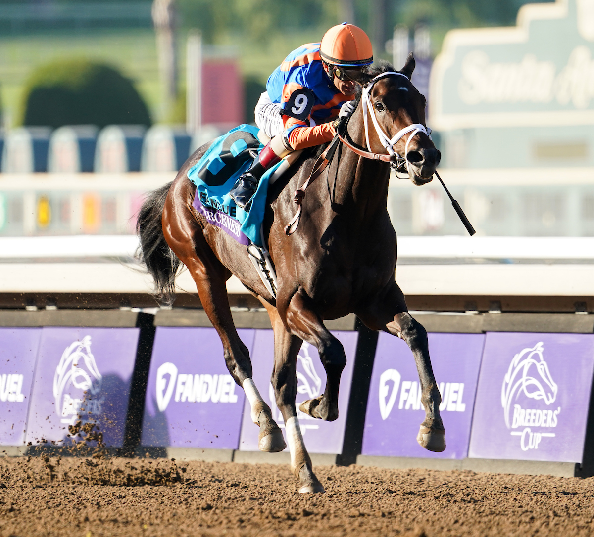 Preakness Stakes Future Wager Entries