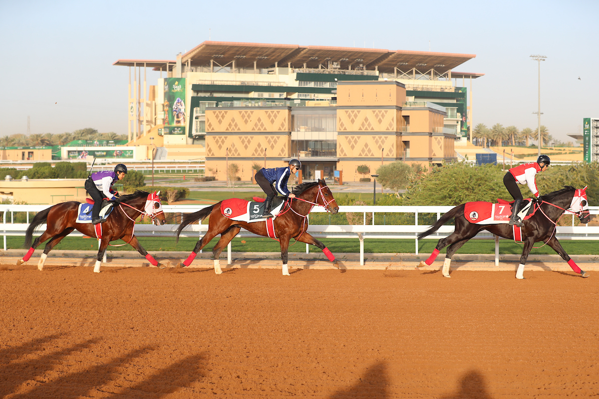 Jon White: A New Kentucky Derby No. 1, Plus Rebel Stakes Picks - 1/ST ...