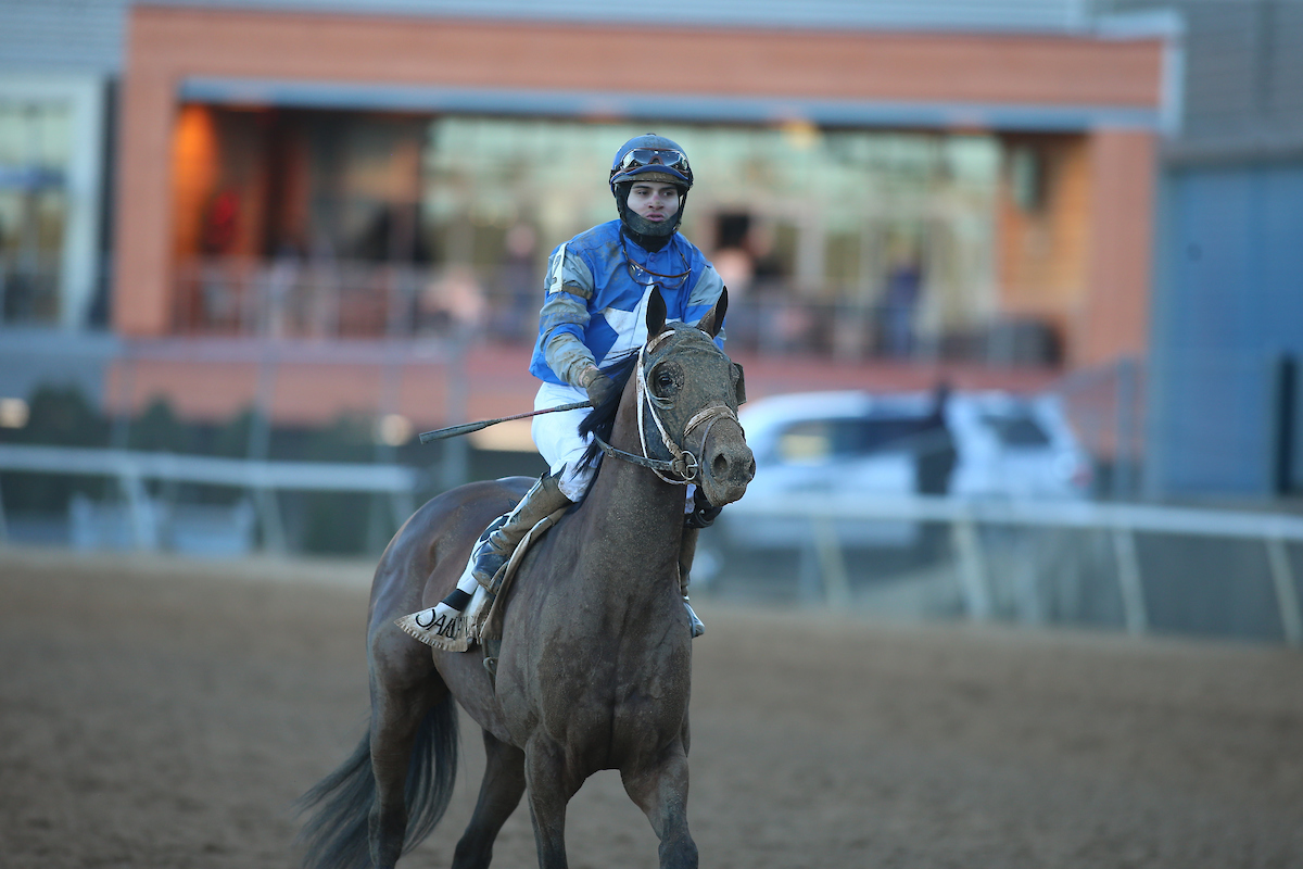 Preakness Stakes Future Wager Entries