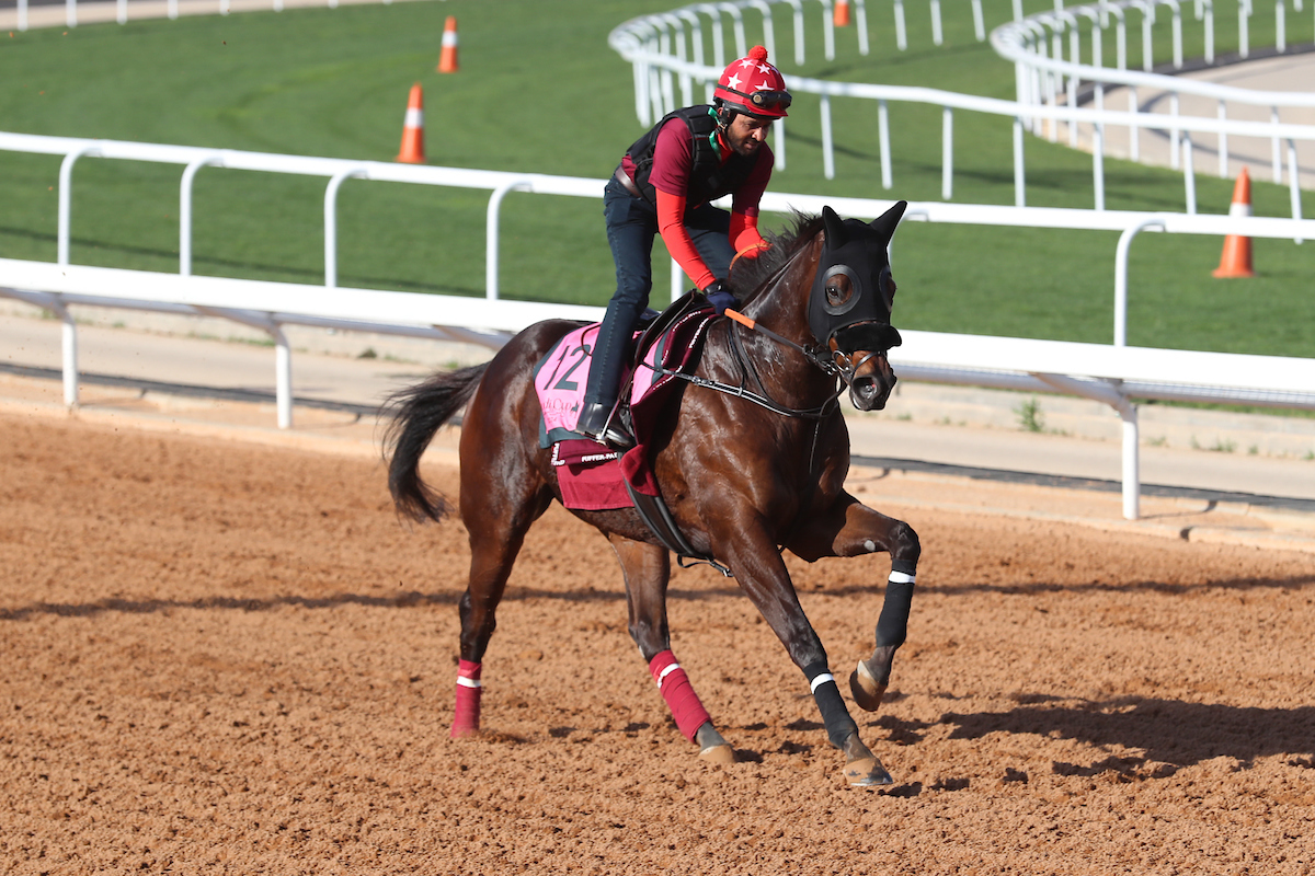 Michelle Yu: On-site Saudi Cup Preview and Picks - 1/ST BET NEWS