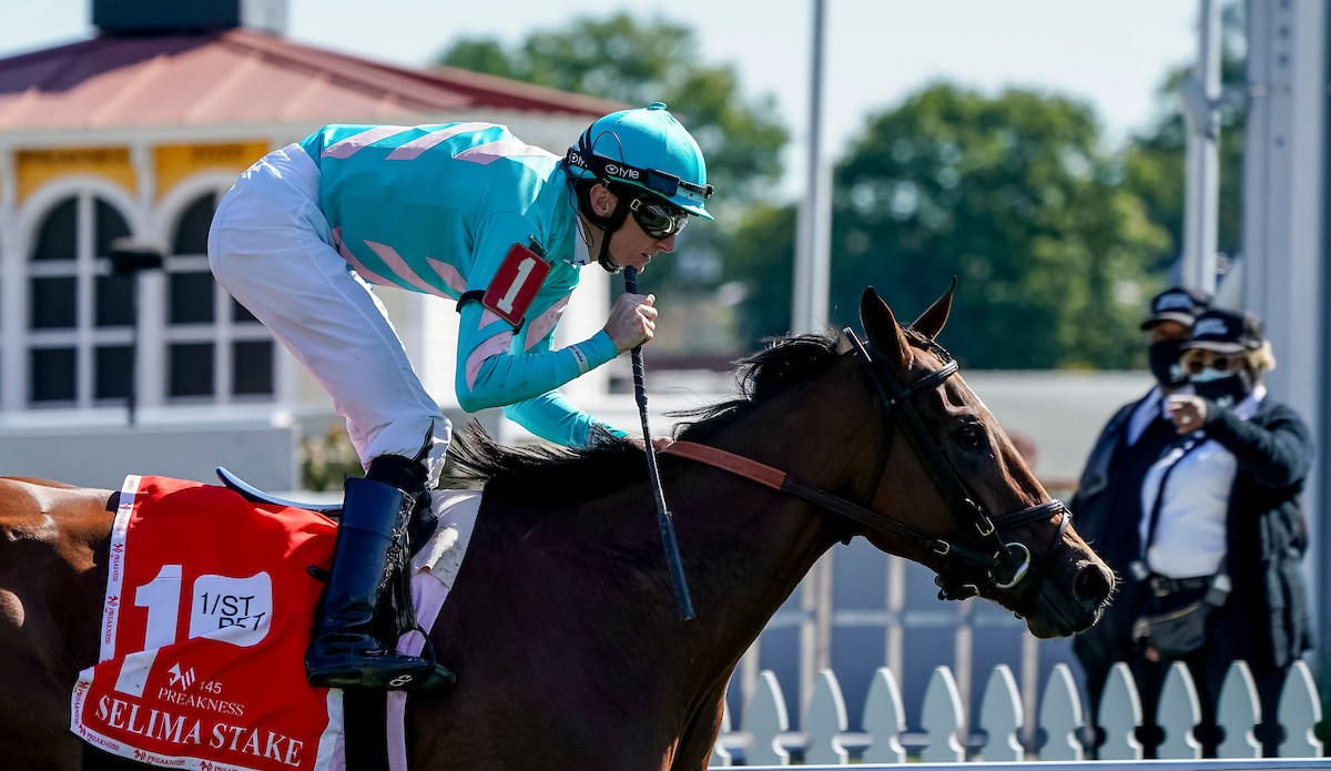 Jeremy Plonk: $25,000 Tampa Bay Derby Day Exacta-Thon Plays | Saturday ...