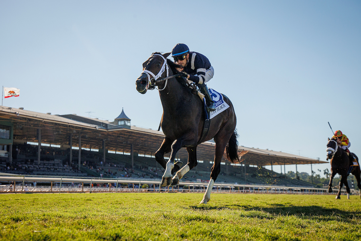 Meet the Contenders: $700,000 Grade 3 Jeff Ruby at Turfway Park ...