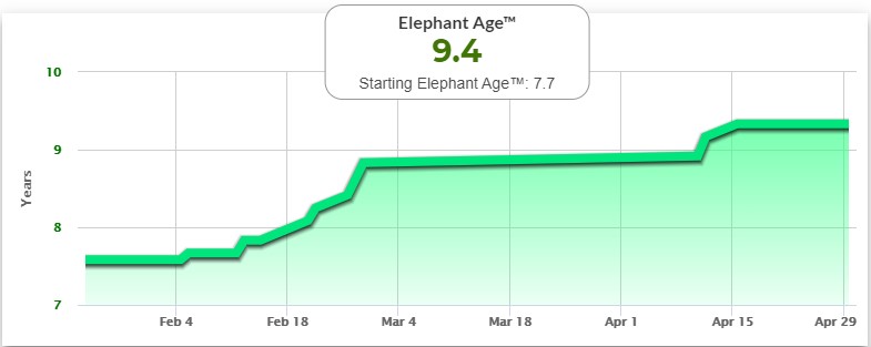 Elephant Learning Math Academy