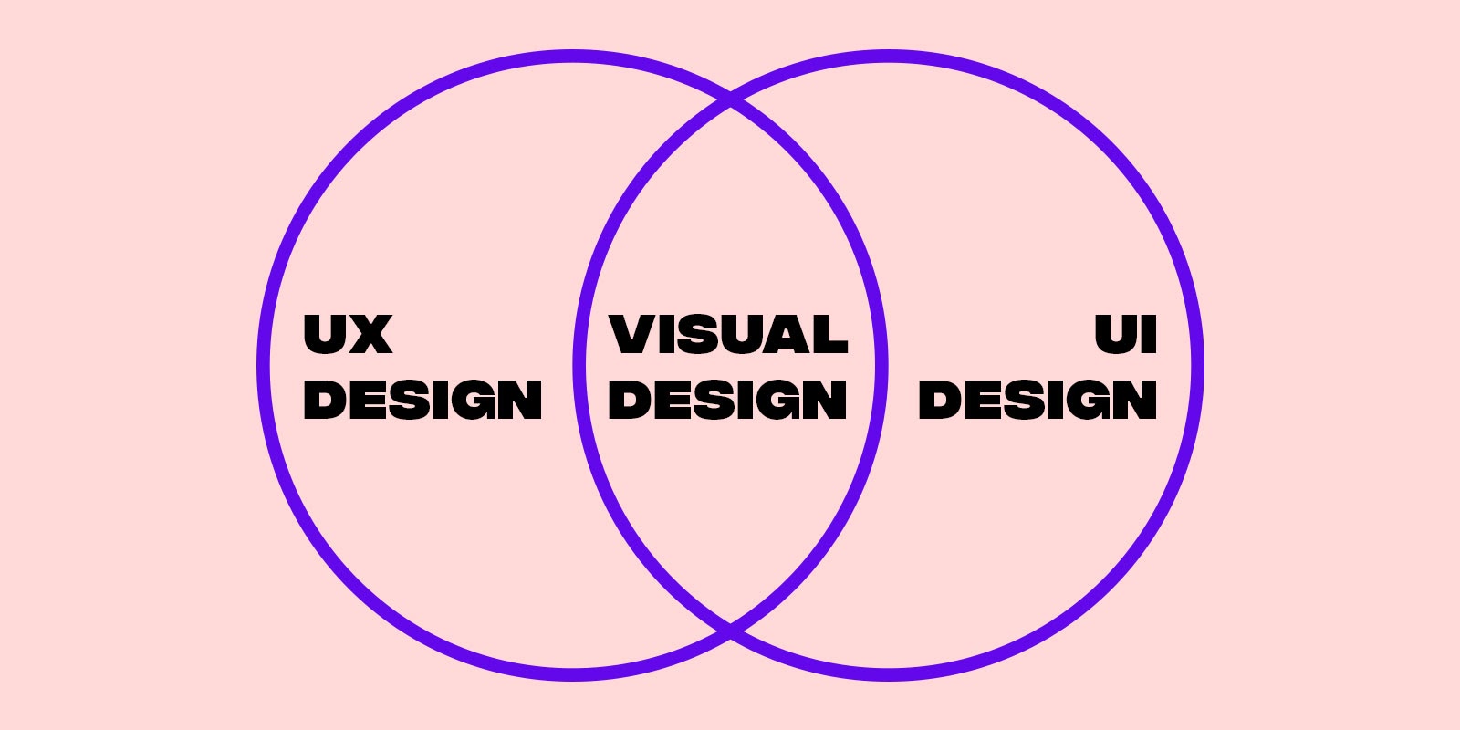 Web Design vs. Web Development: What's the Difference?