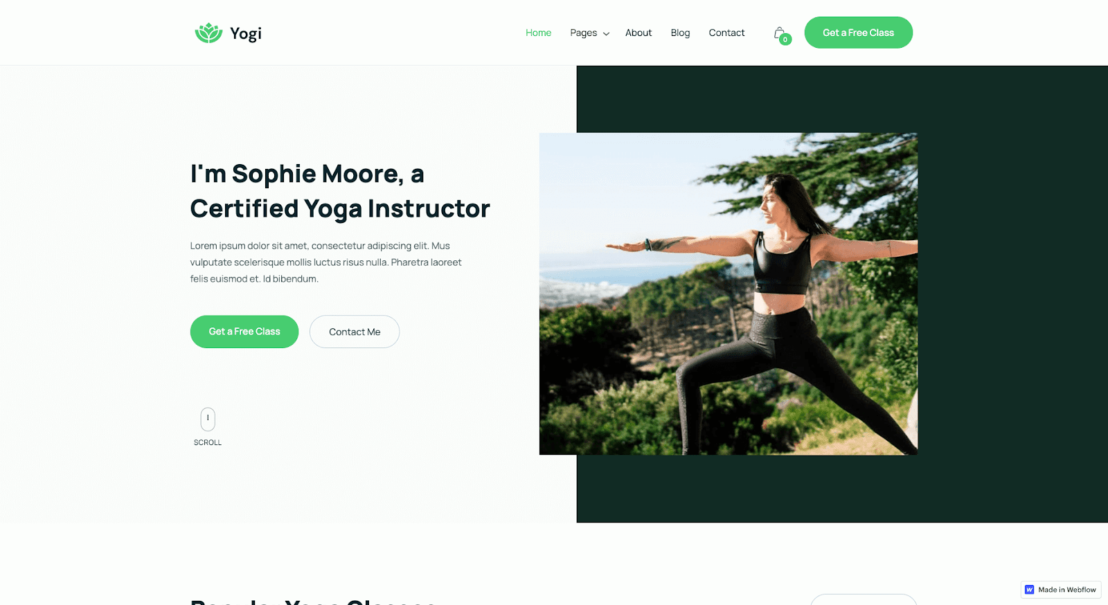 15+ Best Webflow Templates for Your Next Website Project