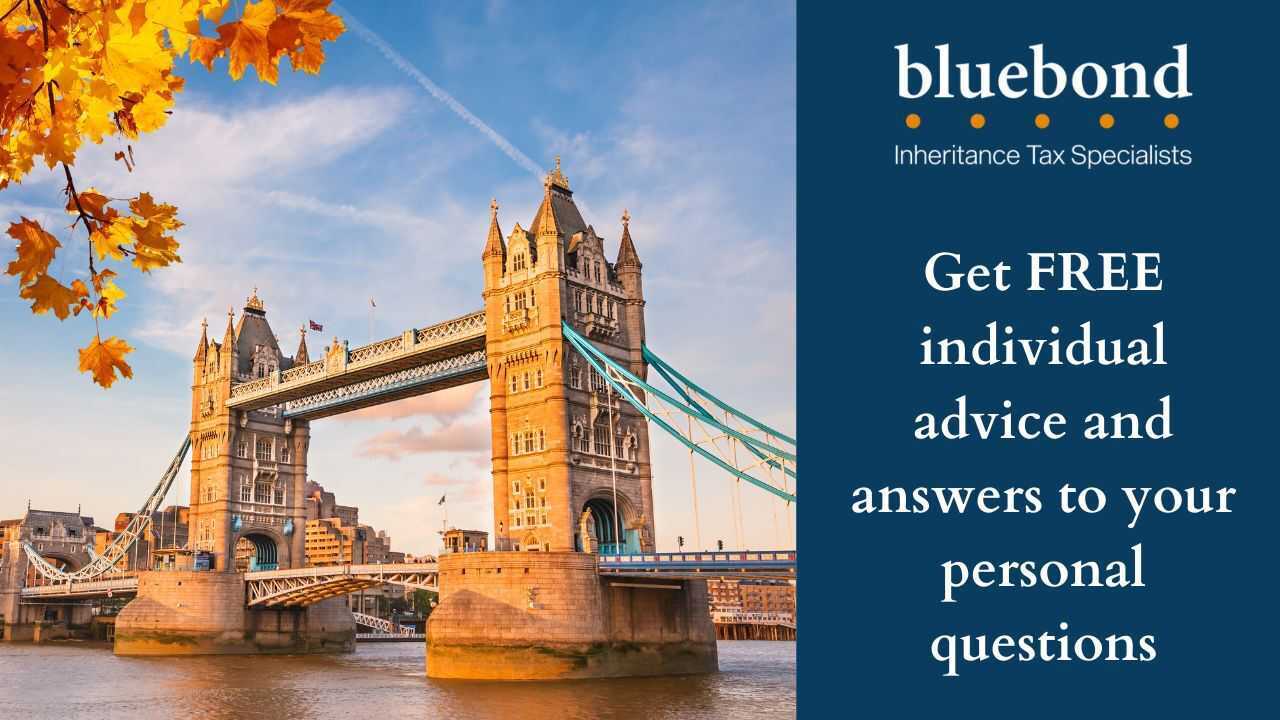 Get Free Personalized Help: Choose Your Option - Bluebond