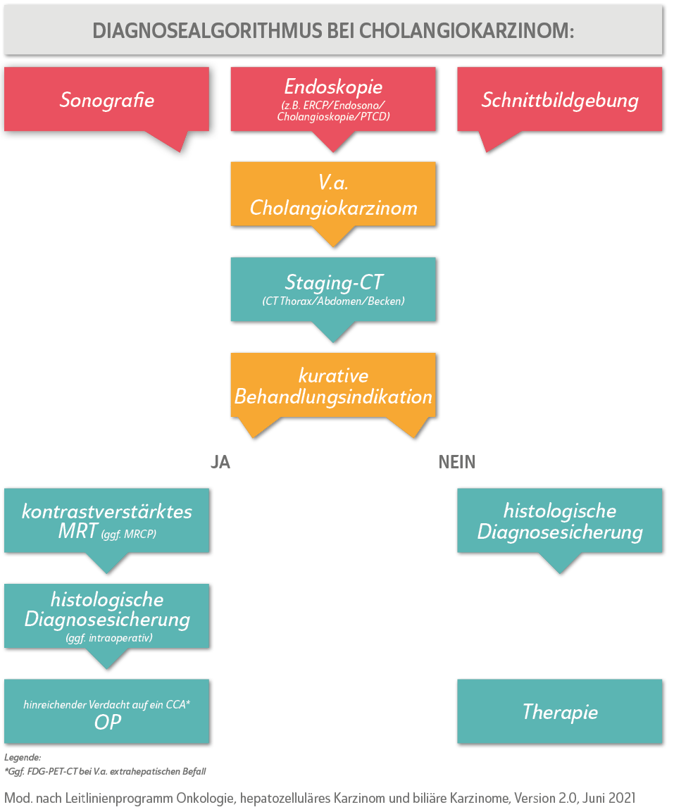Empfehlungen für hepatozelluläres Karzinom und biliäre Karzinome