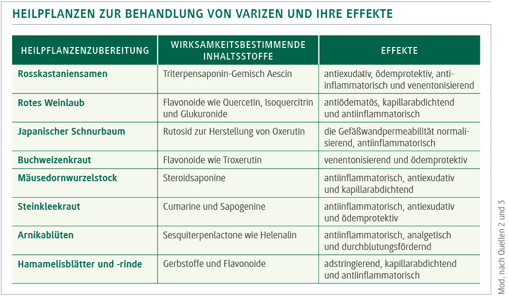 Orale oder topische Phytotherapeutika bei Krampfadern