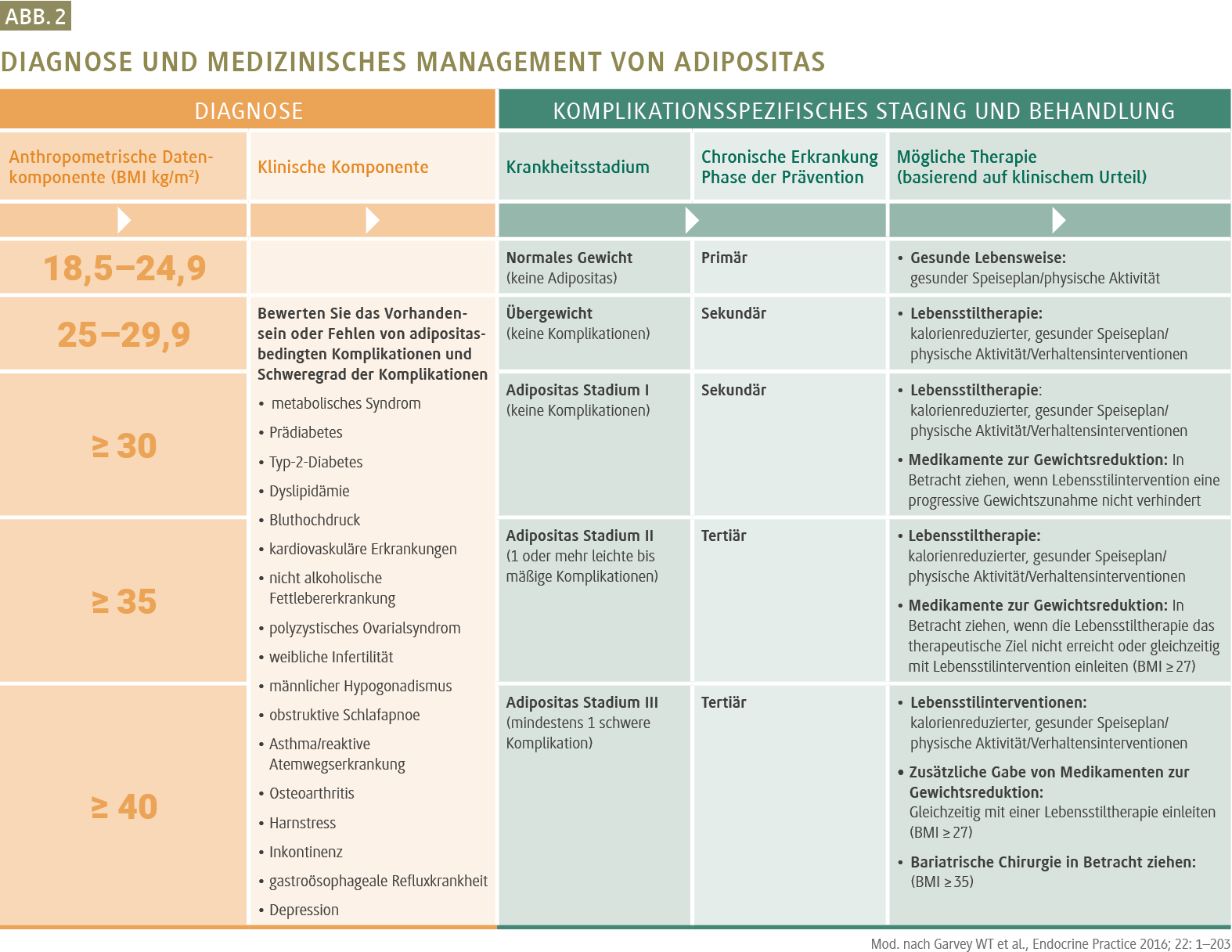 Kommunikations- und Therapiekonzept bei Adipositas
