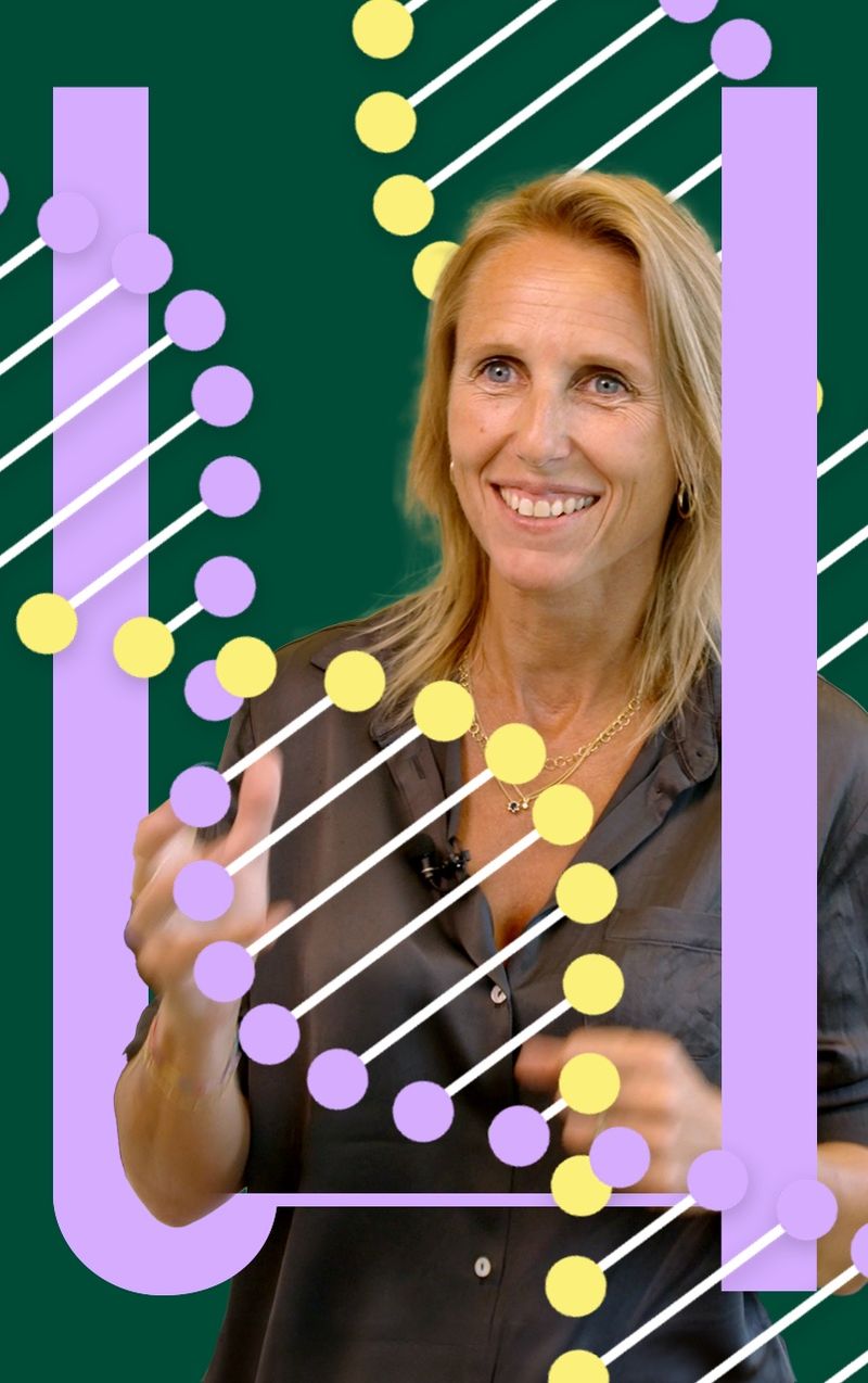 Video's: Universiteit van Nederland