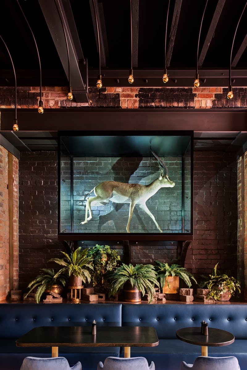 Diesel Bar – Bergman & Co.