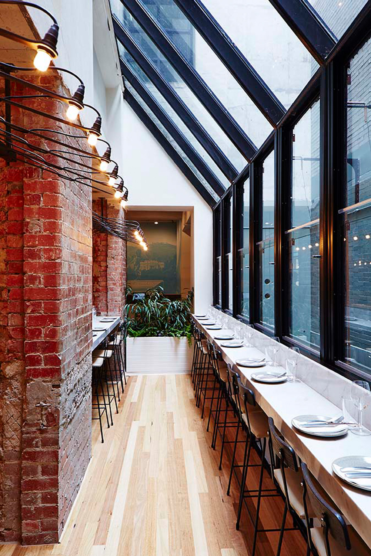 Woody P – Bergman & Co.