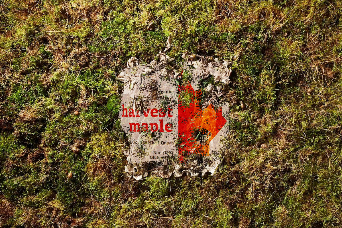 Maple Syrup with a Passion for Sustainability