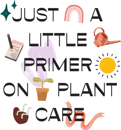 Just A Little Primer On Plant Care