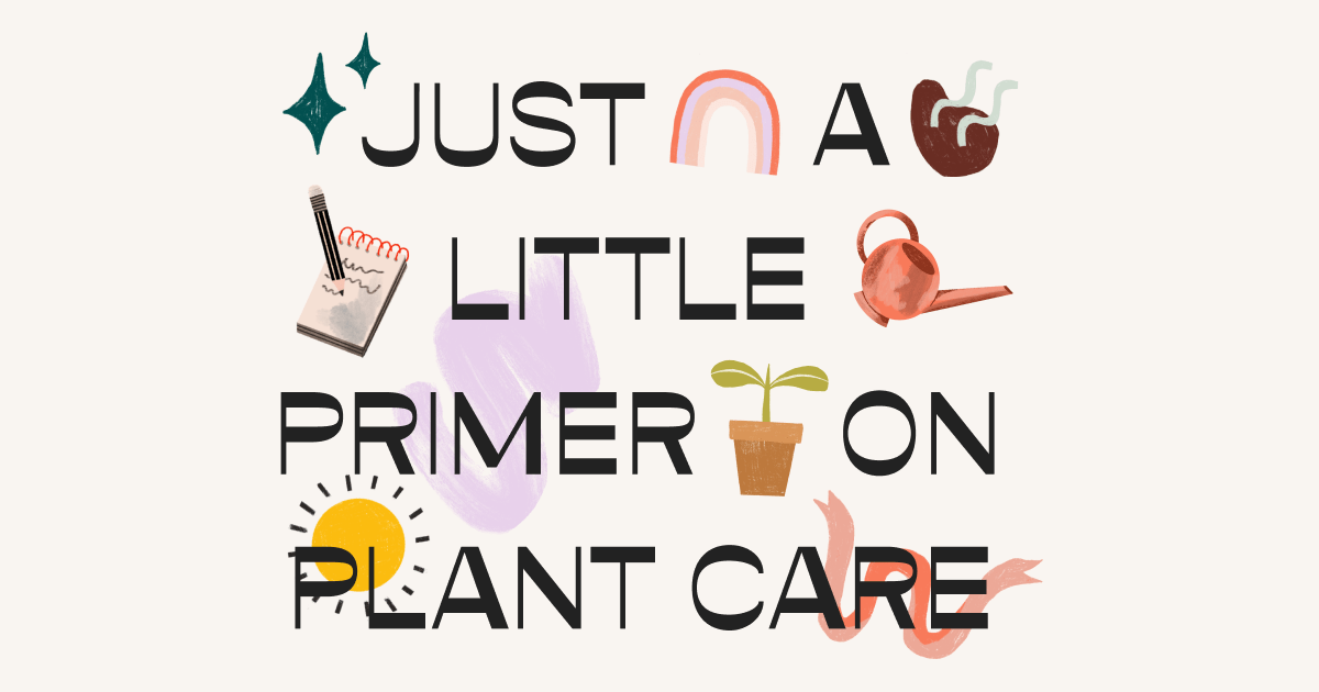 Just A Little Primer On Plant Care