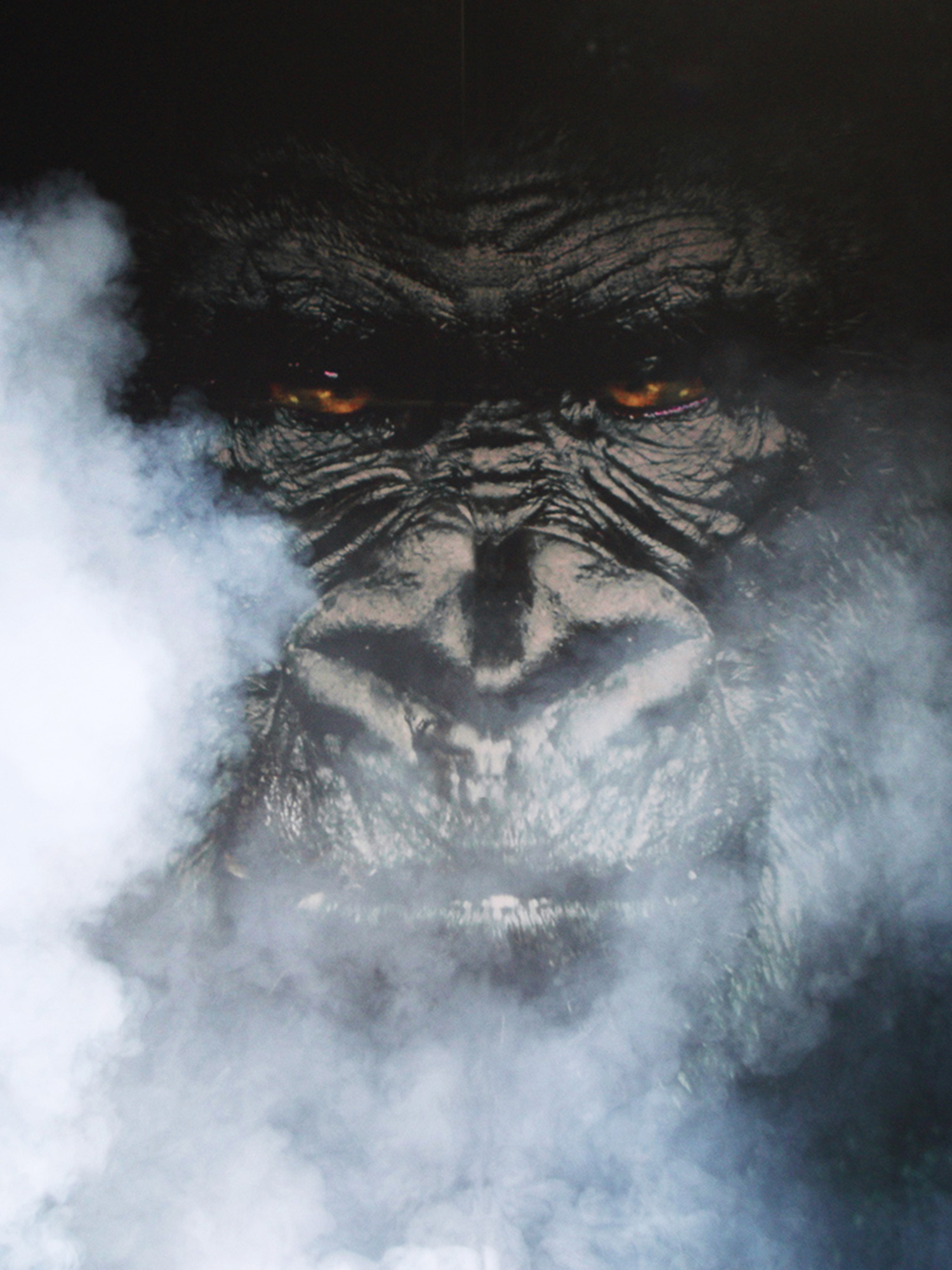 What Should You Include In A Company Overview Video?