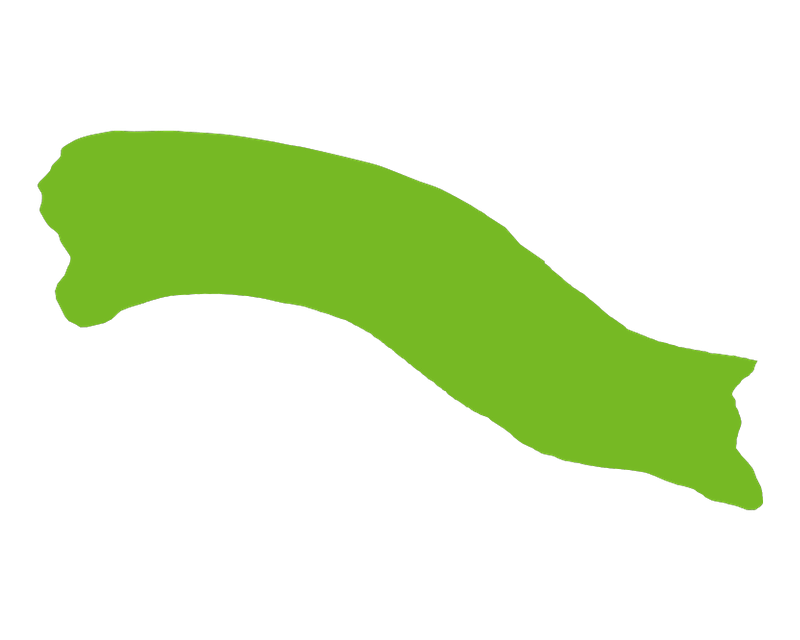 Oil & Gas Advisors - Basin: Anglo-Dutch