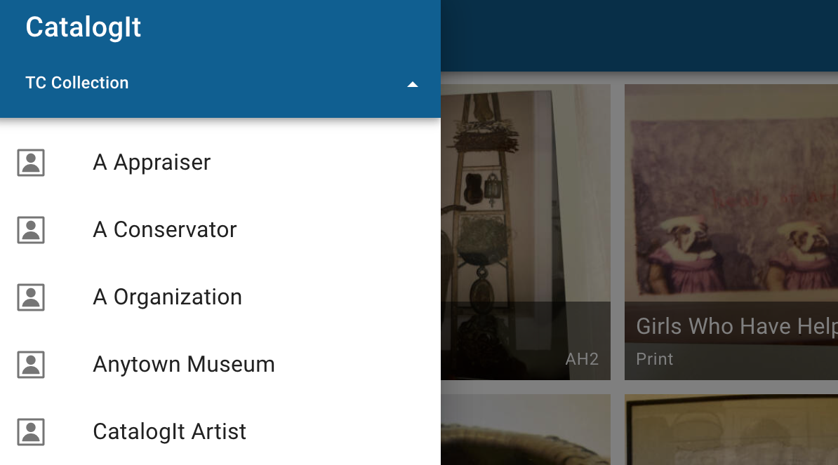 How I Use CatalogIt as a Collections Consultant - CatalogIt