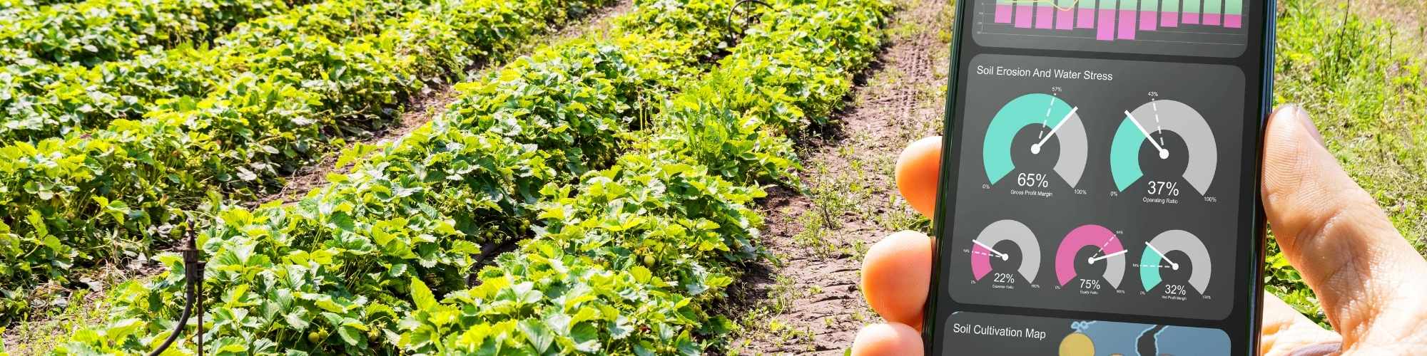 The Farmer Perspective on the Role and Value of Data in Digital ...