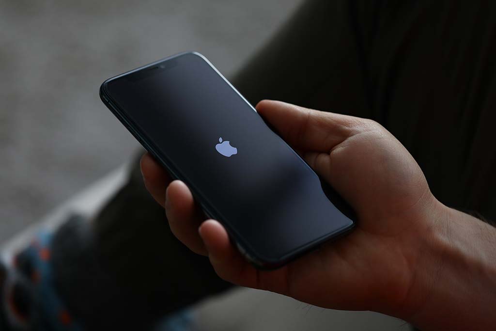 Guía para comprar un iPhone en 2020: toma nota | Vivus.es