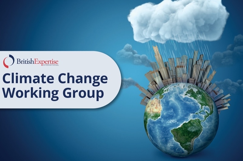 British Expertise International