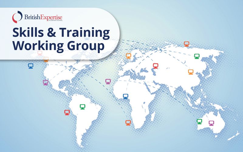 British Expertise International