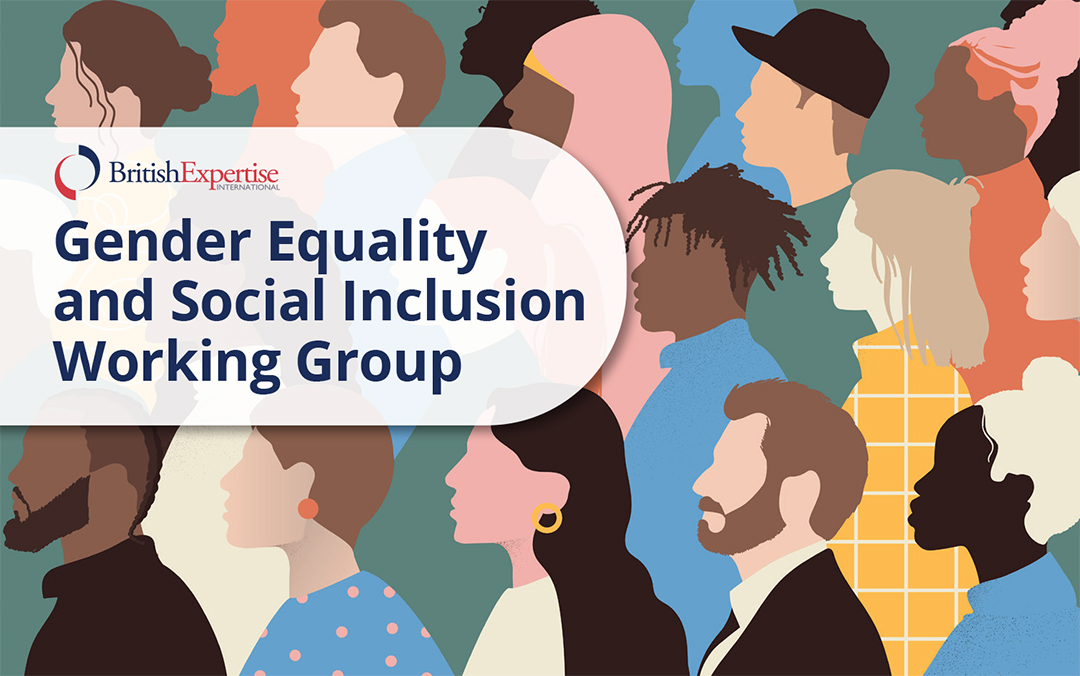 Event: BEI Gender Equality & Social Inclusion Working Group - February ...