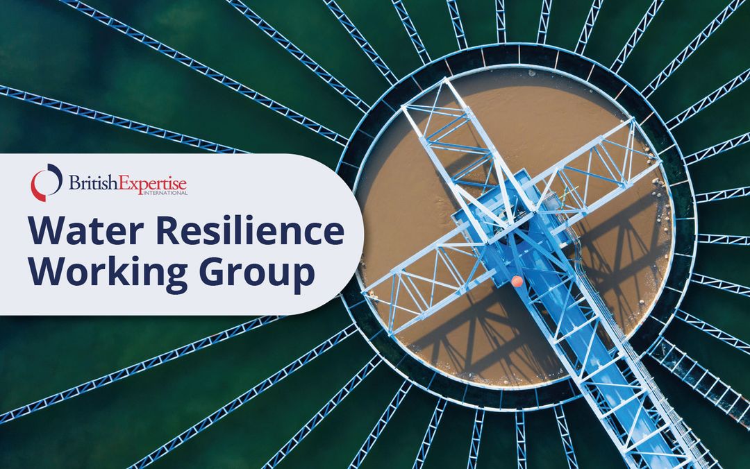 Event: Water Resilience Working Group – British Expertise International