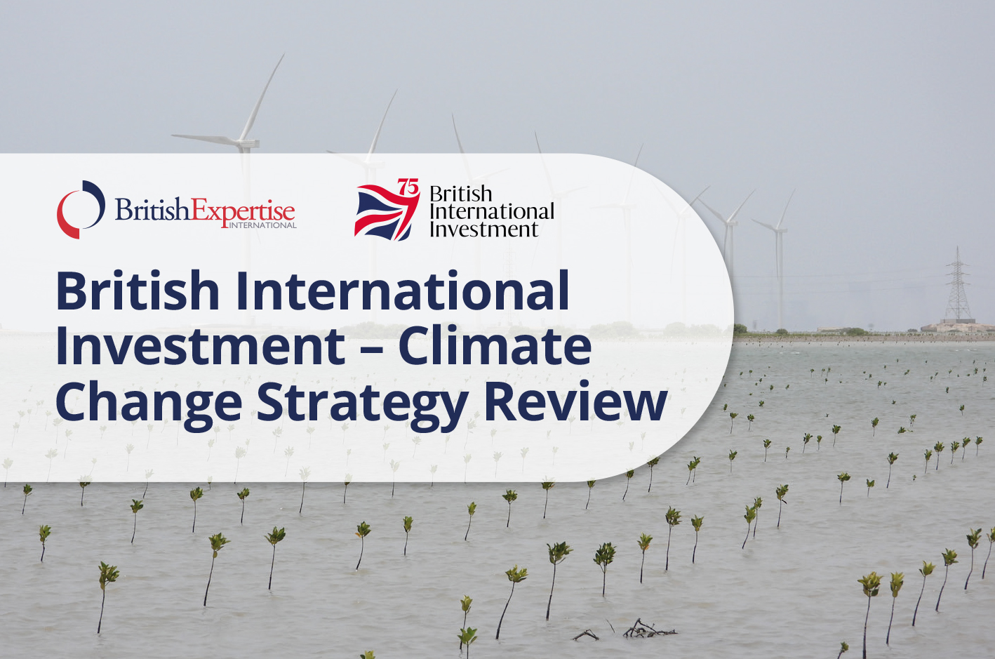 Event: BII – Climate Change Strategy Review – British Expertise ...