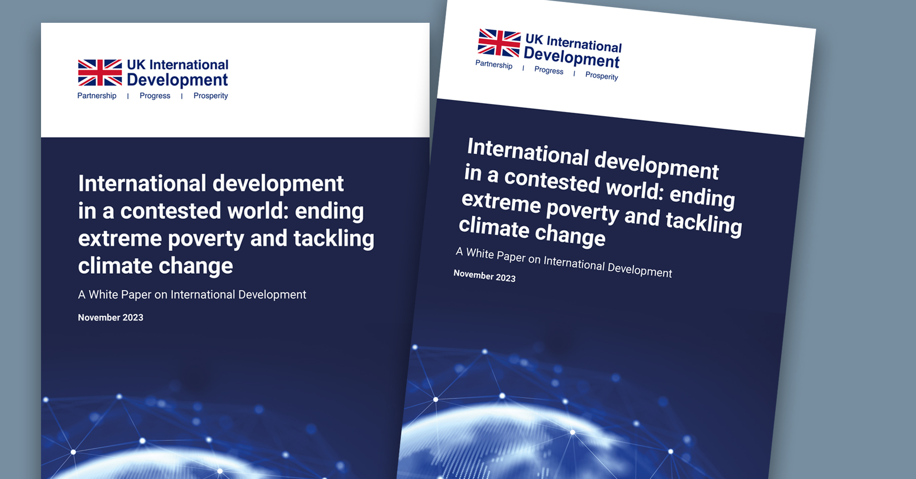 Reviewing the International Development White Paper