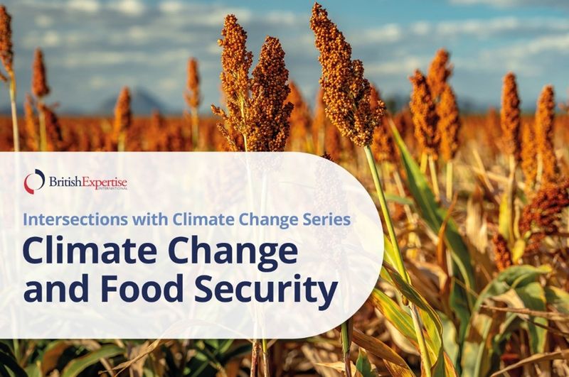 Event: Intersection of Climate Change and Food Security – British Expertise International