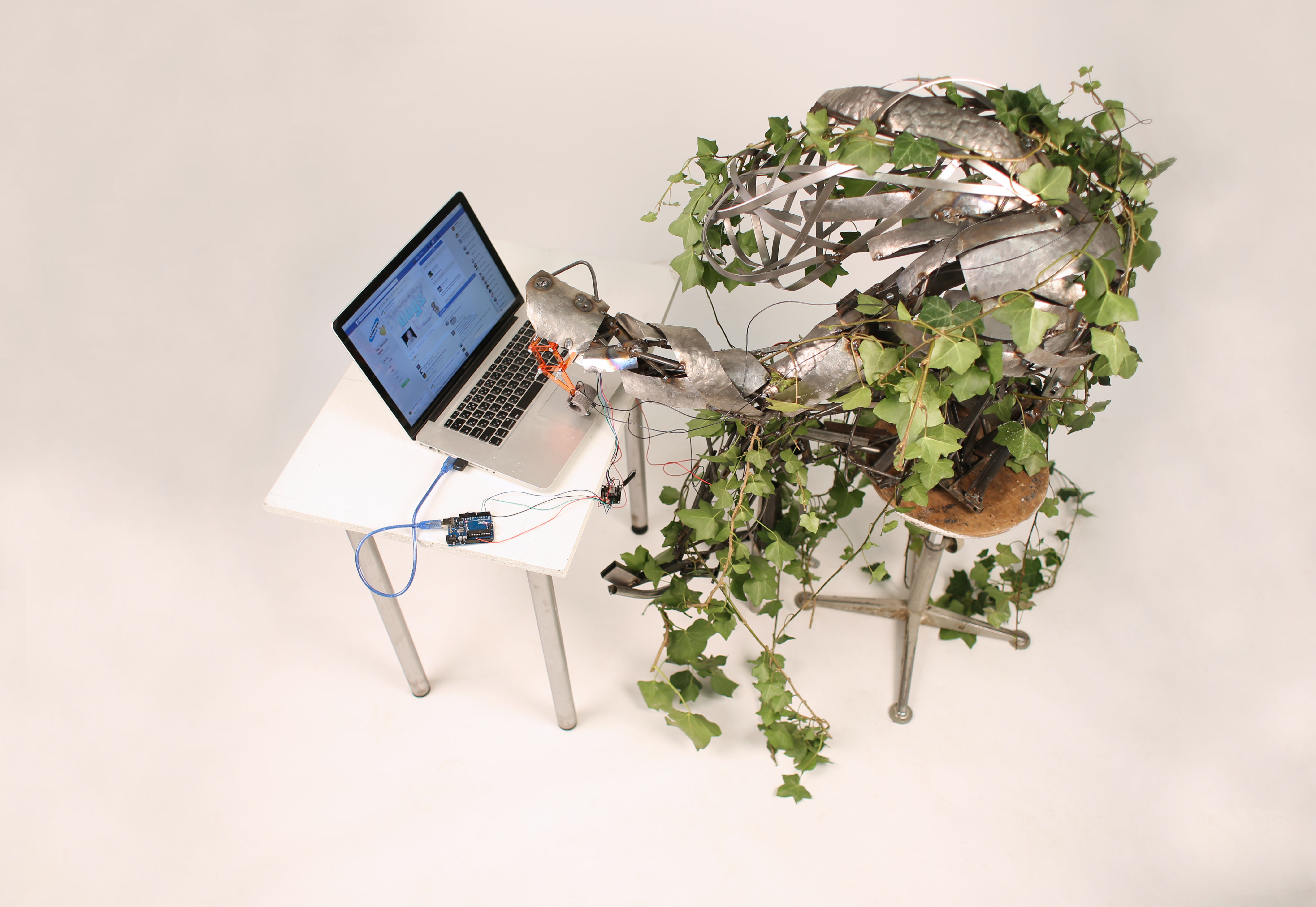 artificial ignorance