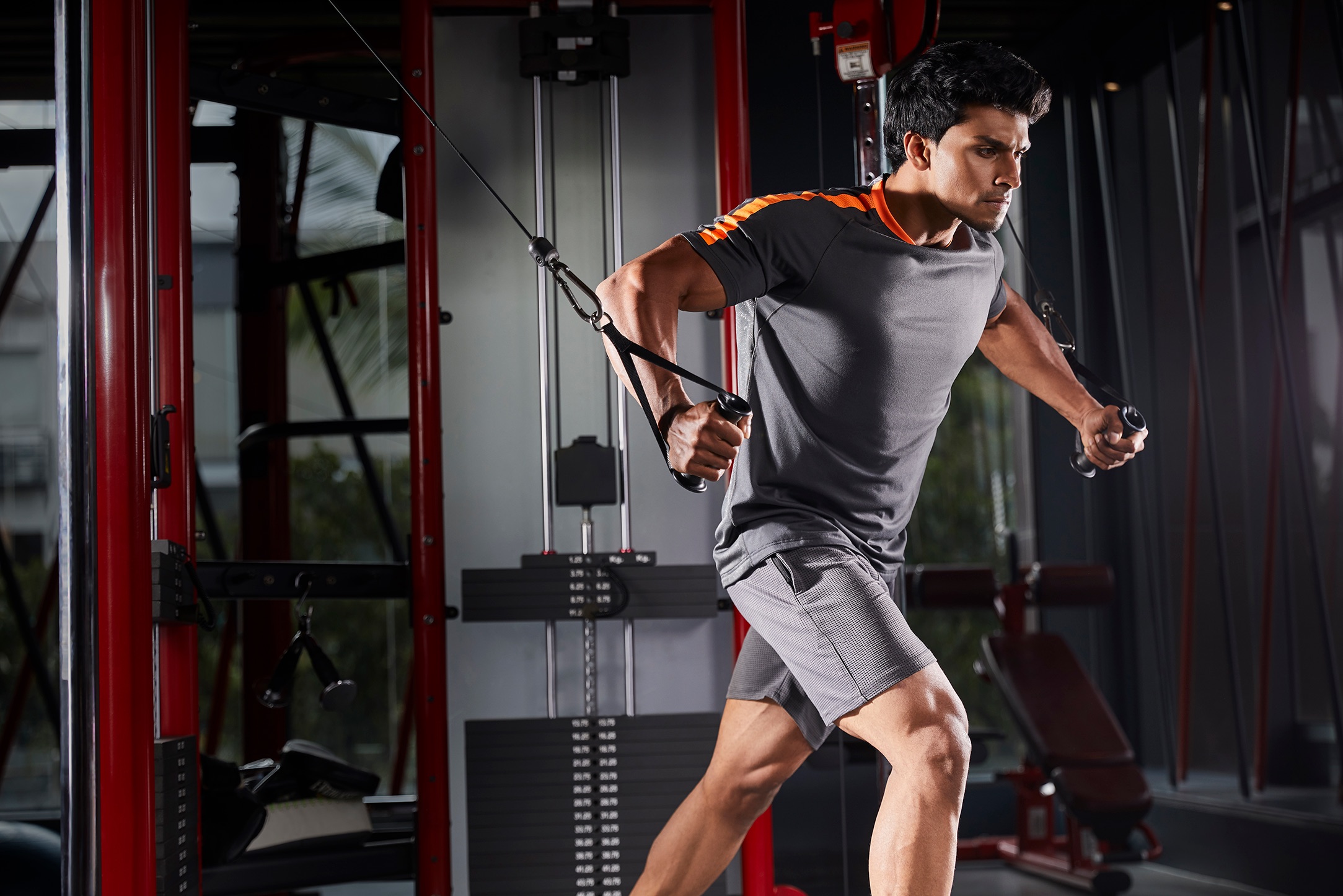 Cult Franchise Programme