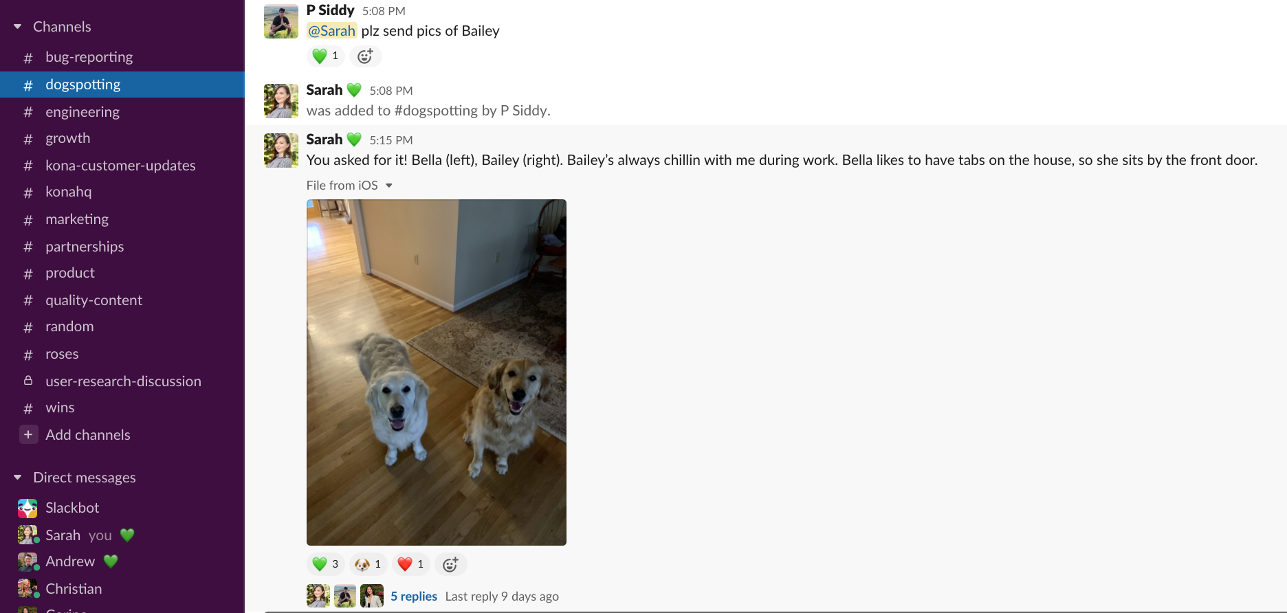 5 Imperative Tools That Measure and Improve Workplace Culture | Kona