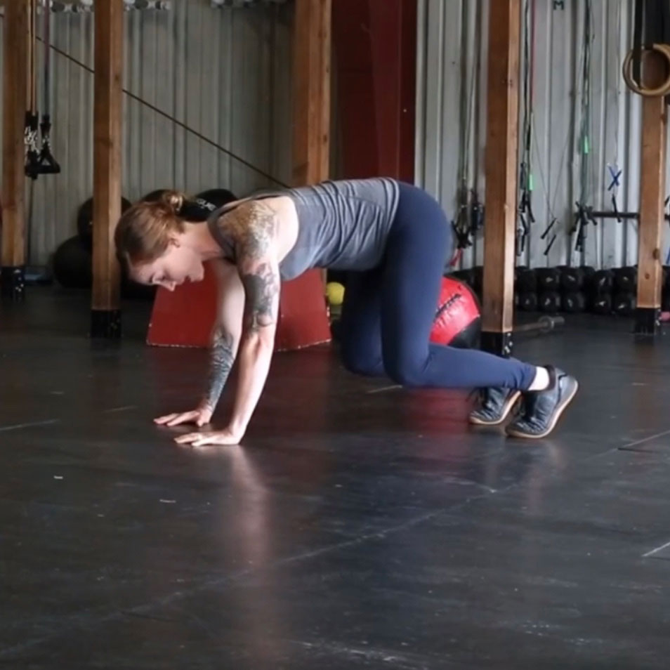 Bear Crawls - Gymparty