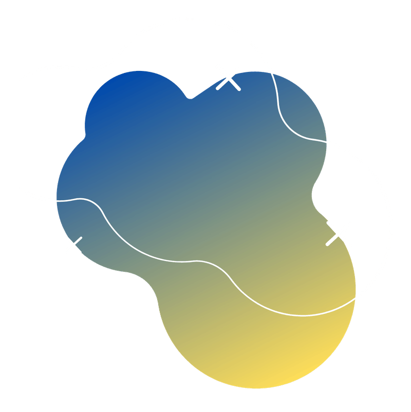 Mare Forum - We connect people