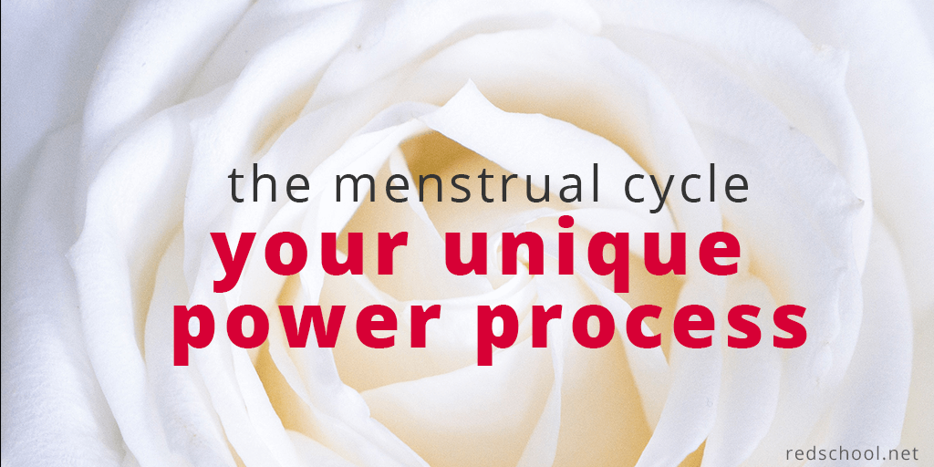 Wild Power: Your unique power process | Red School