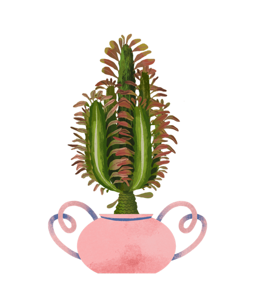African Milk Tree: Plant Care Guide