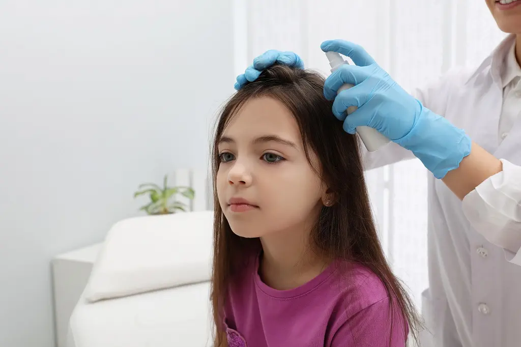 About Head Lice Infestations and Boston Lice Removal | LiceDoctors