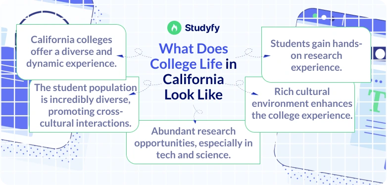 Which State Has the Most Colleges - See the 2023 Stats 🤓| Studyfy