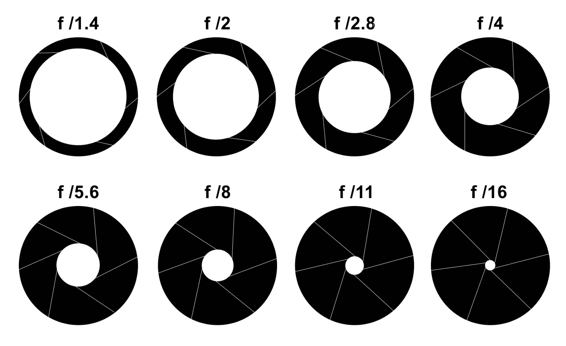 Focus: A beginner's guide to depth of field