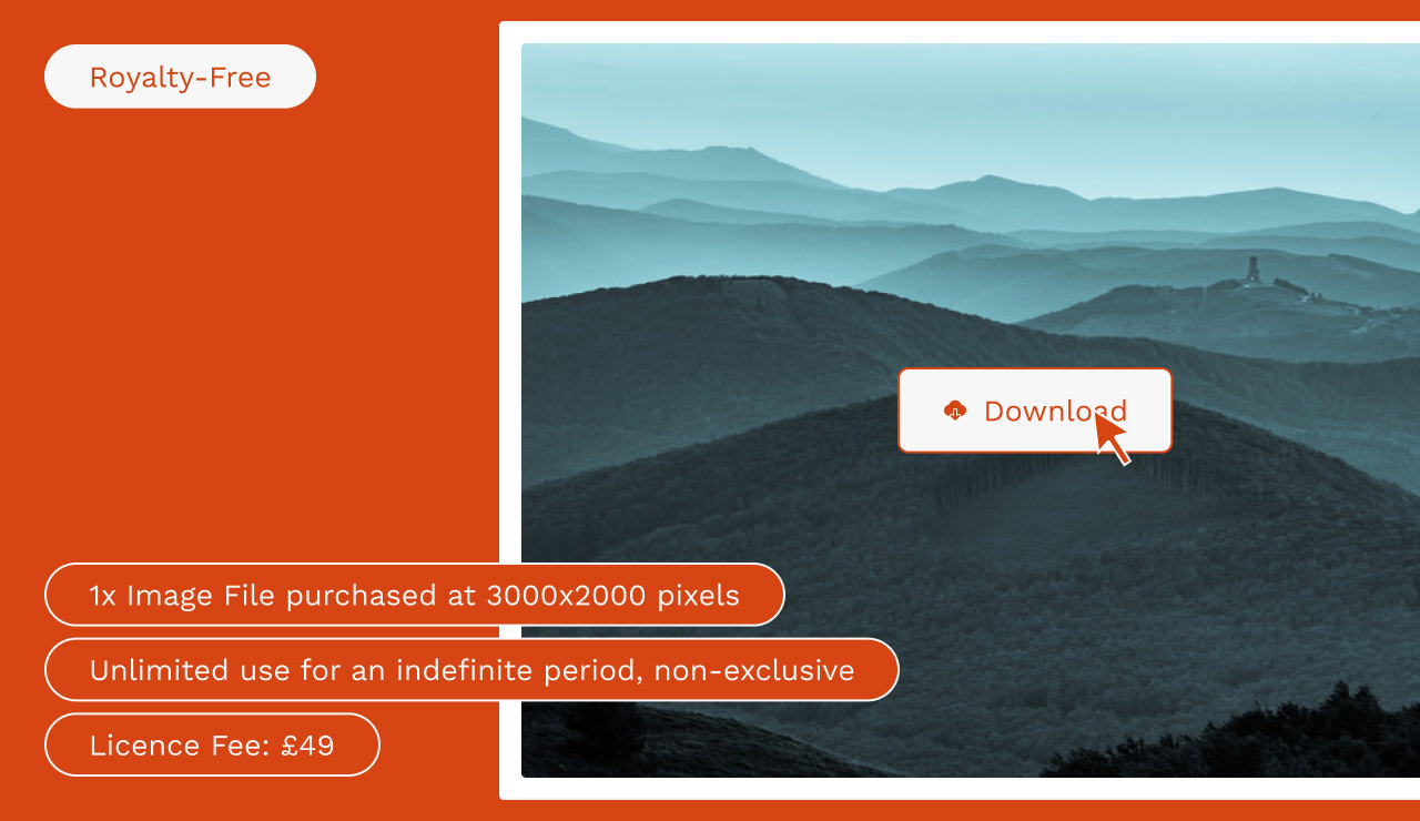Focus: A beginner's guide to image licensing