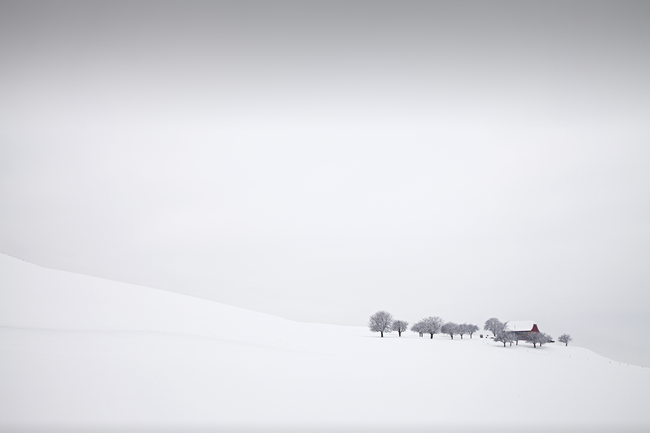 Focus: How to photograph landscapes in winter