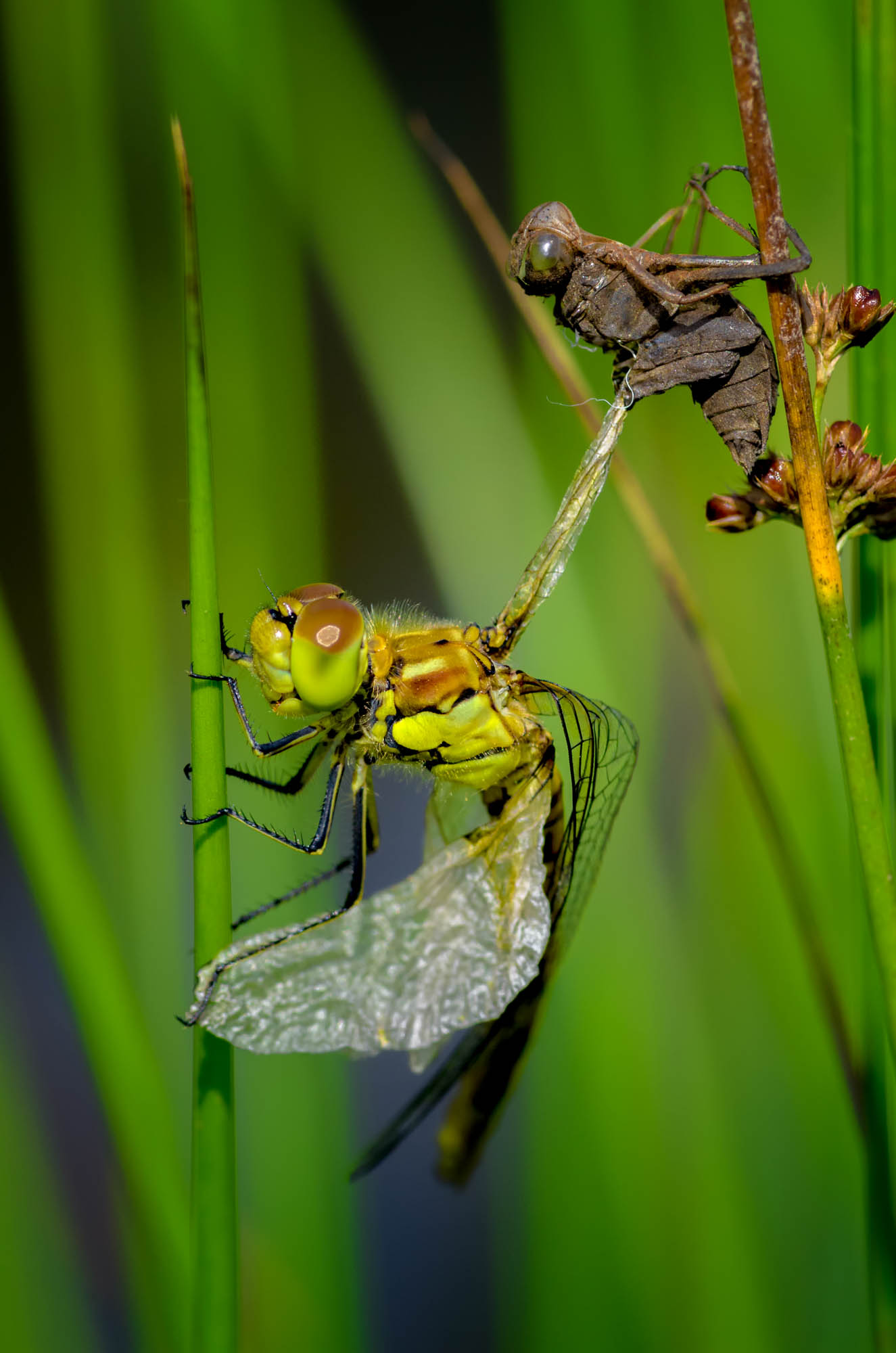 Focus: Life on a picture desk (and how photographers can get published ...