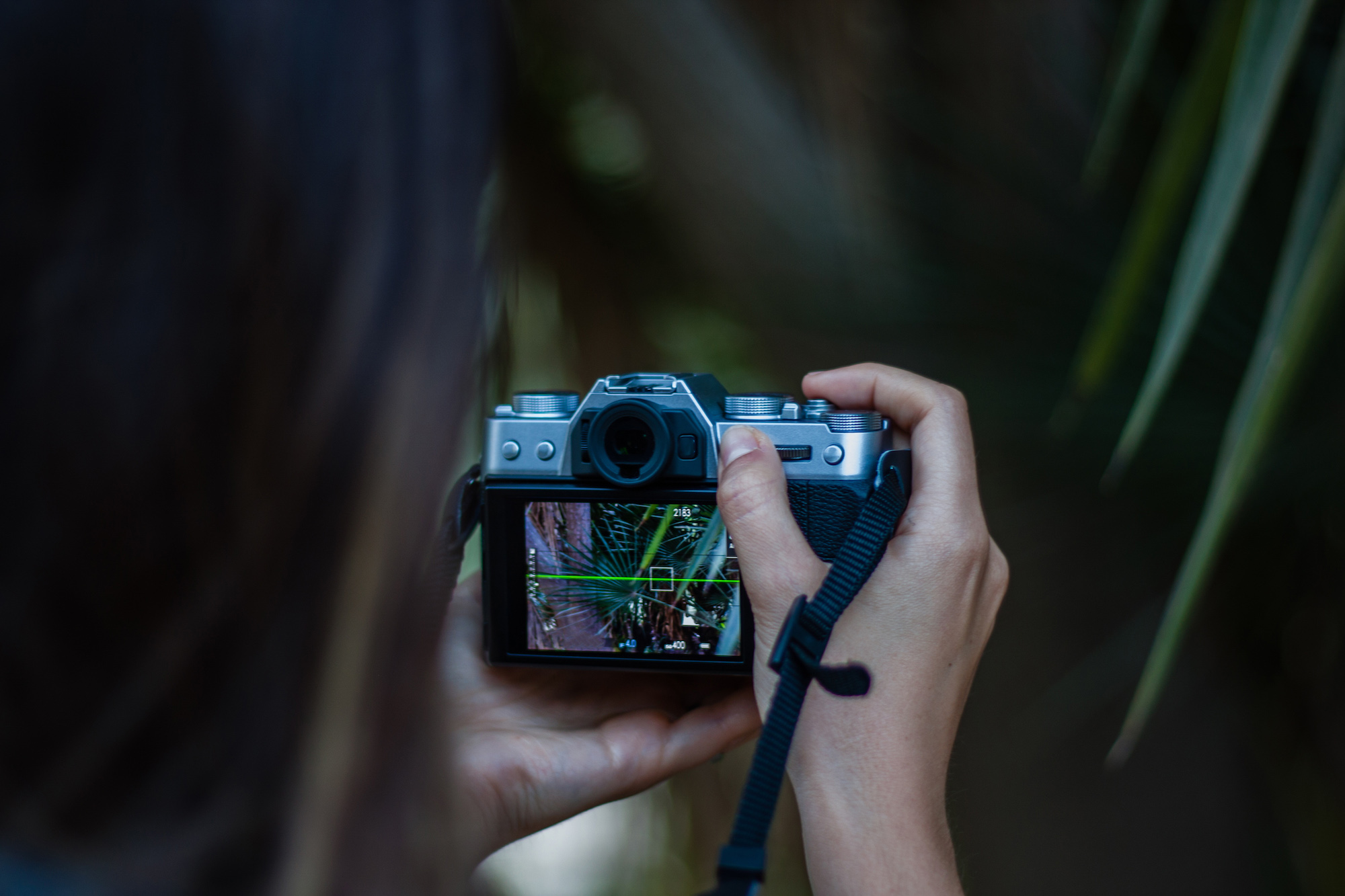 Focus: What type of camera is right for me? How to choose...