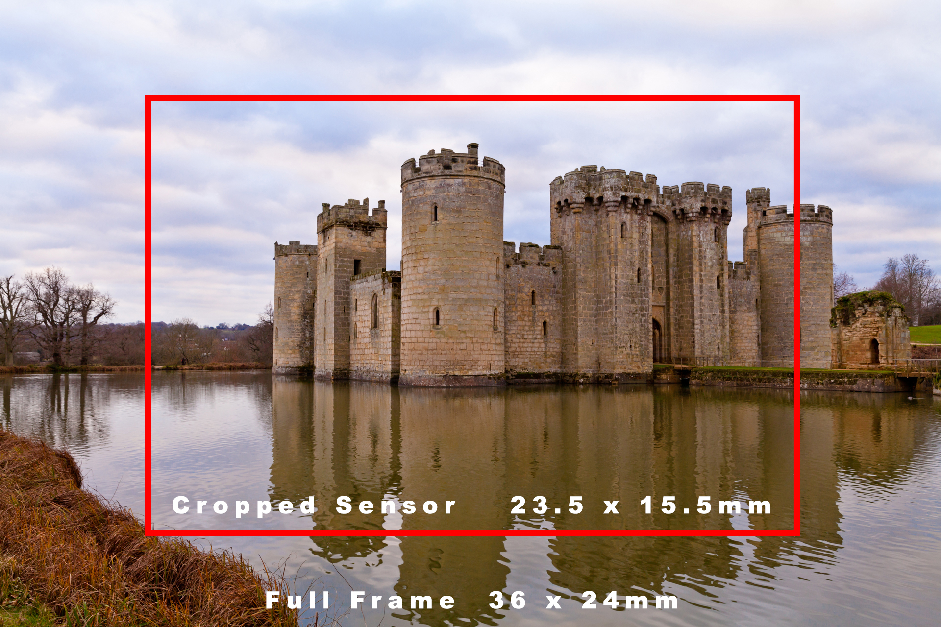 Focus: What type of camera is right for me? How to choose...