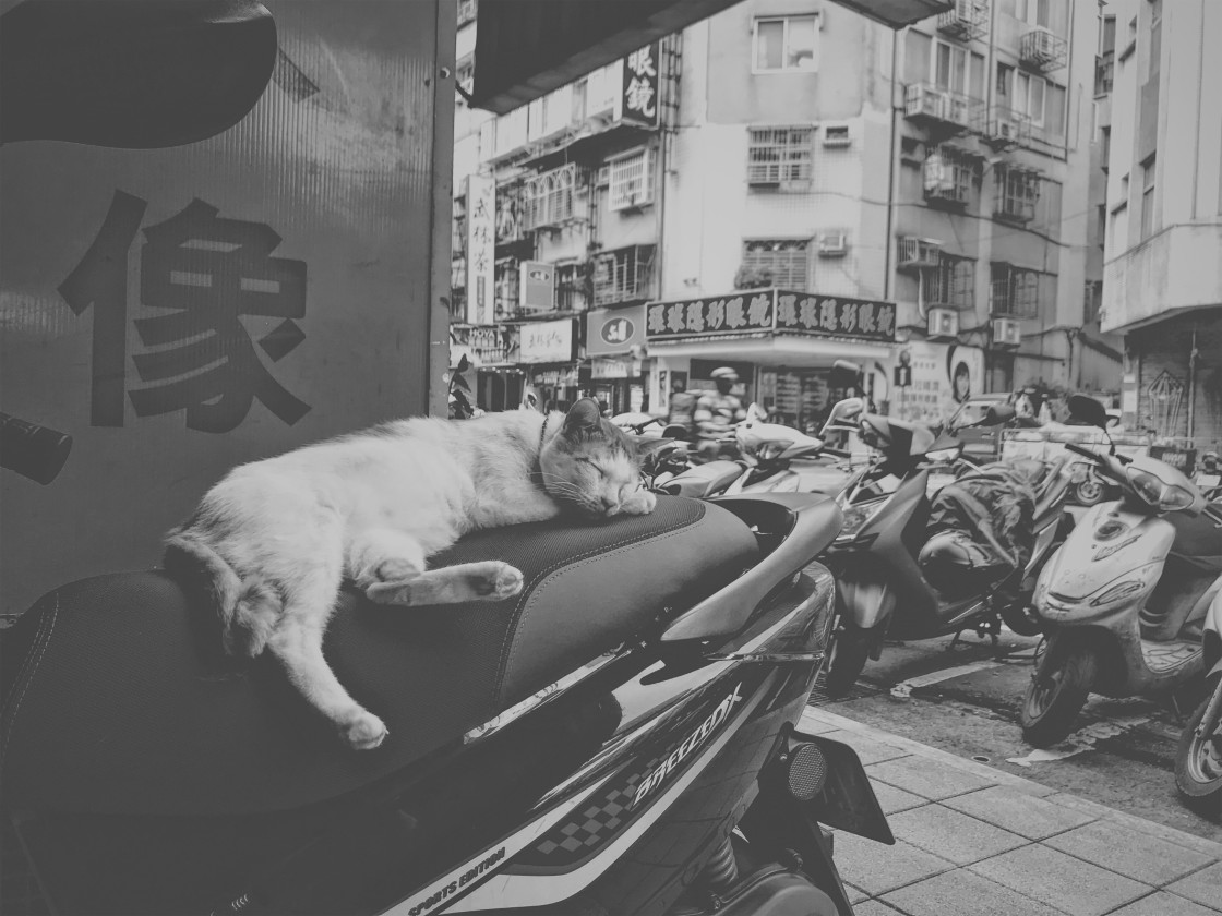 Focus: 5 top tips for street photography with your smartphone